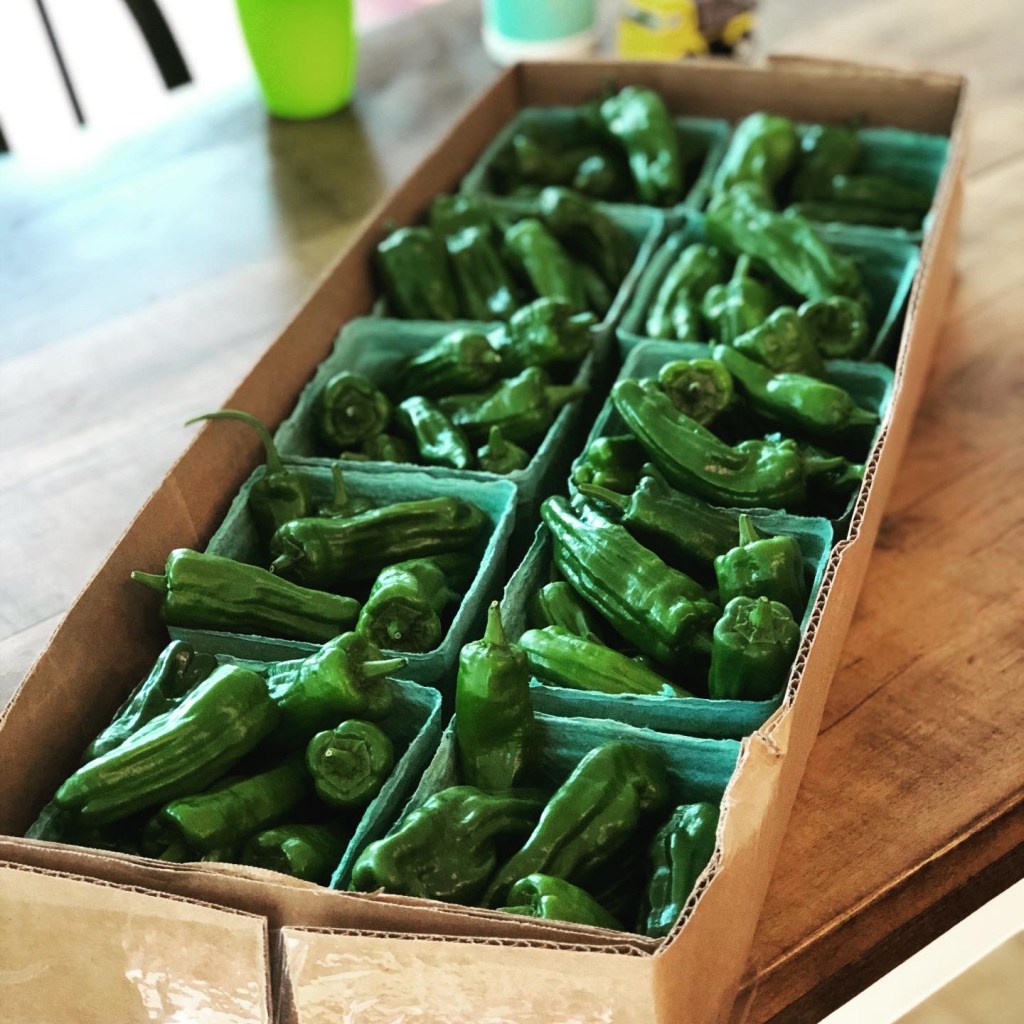 Wholesale - LITTLE BIT FARM