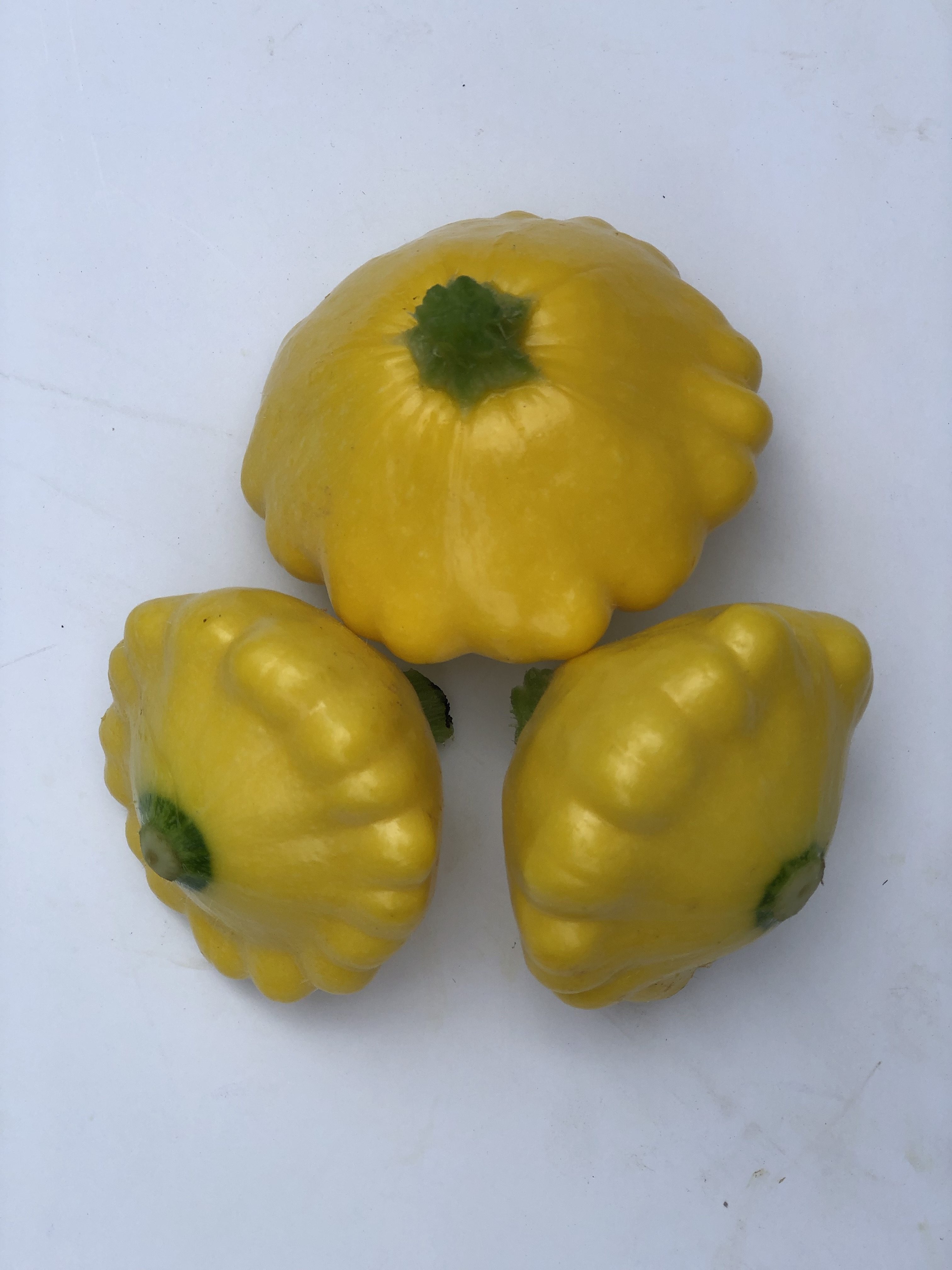 Squash, "Patty Pans" - LITTLE BIT FARM