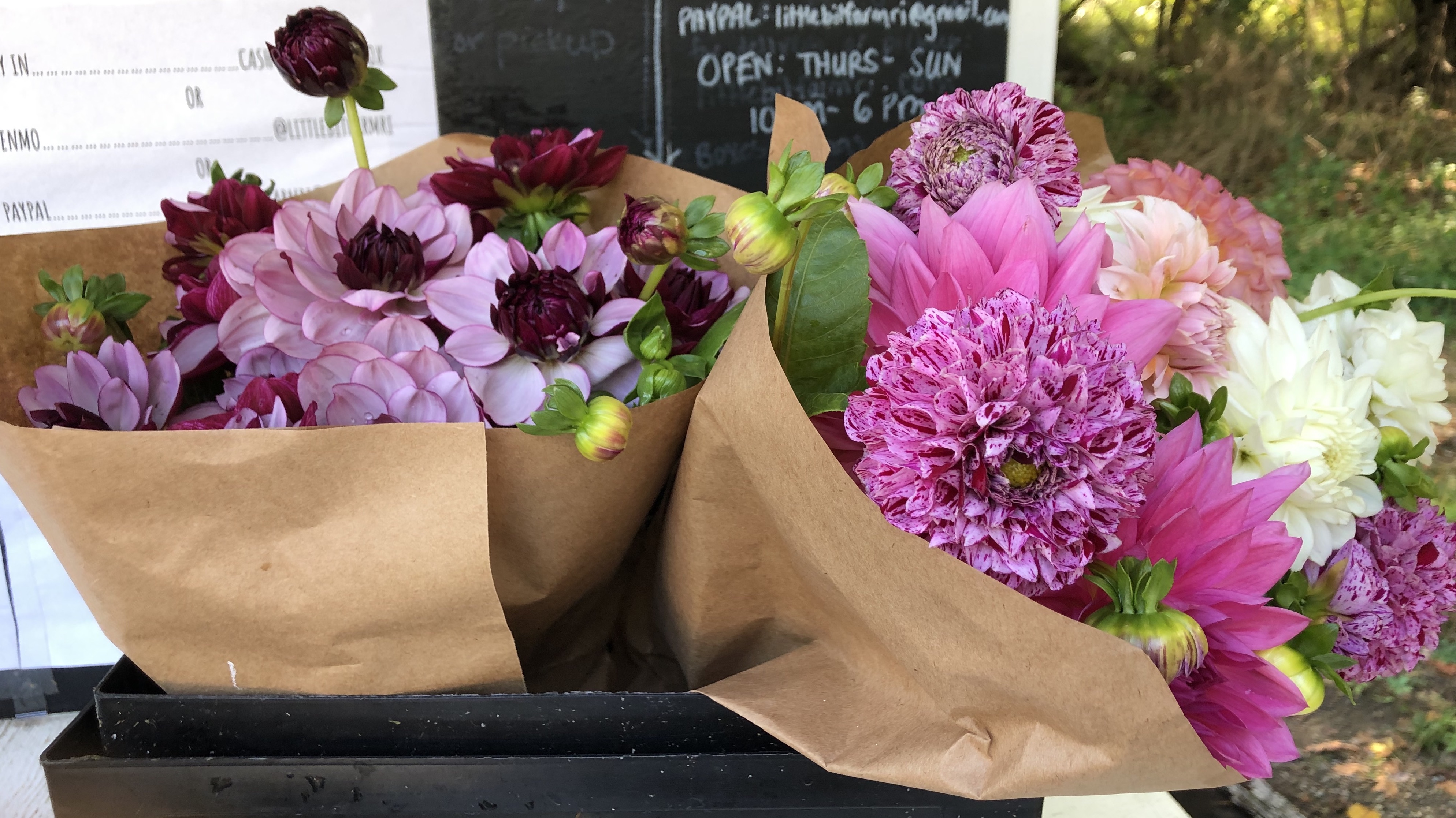 CSA - Late Season Dahlia Bunches - LITTLE BIT FARM